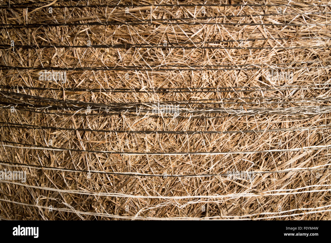 A close up of a round hay bail Stock Photo - Alamy