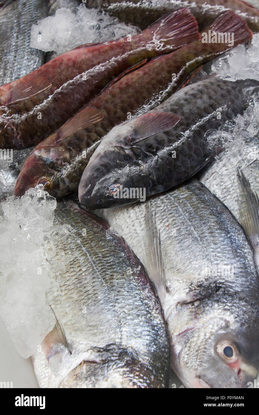 Served on ice hi-res stock photography and images - Alamy