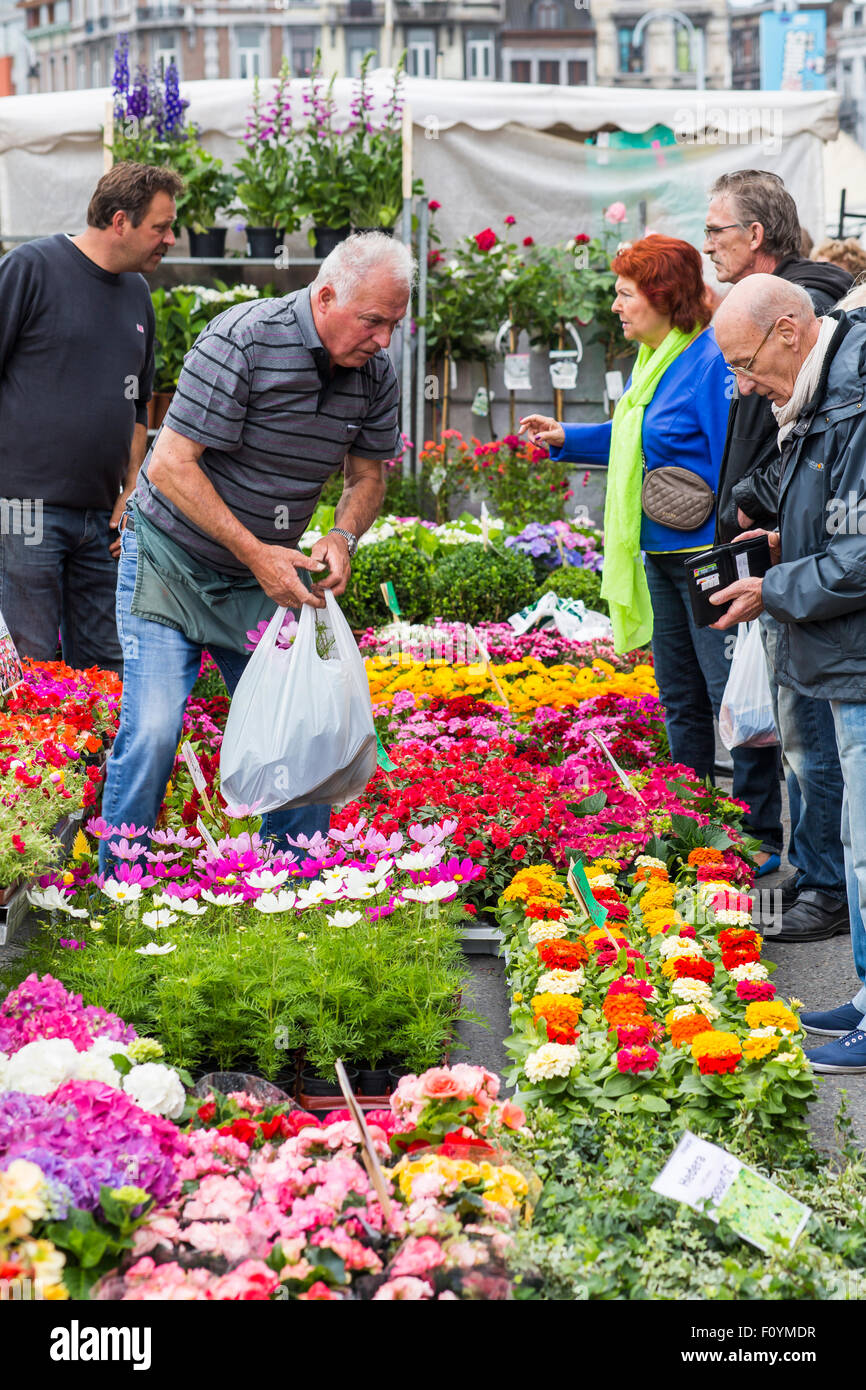 Flower stalls at the La Batte Sunday market in Liege, Belgium Stock ...