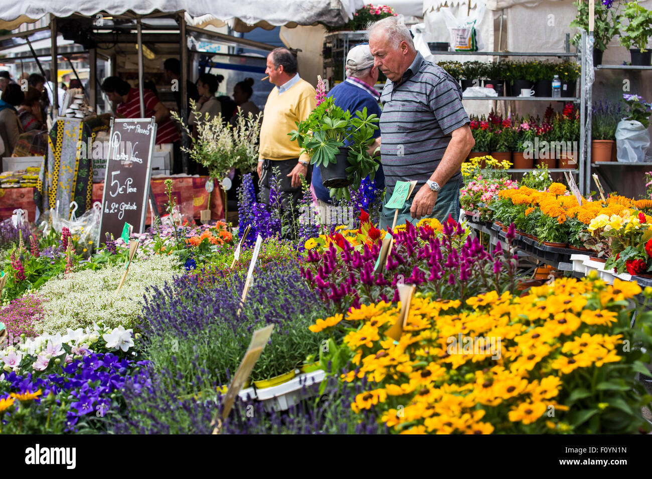 Flower market stall stalls hi-res stock photography and images - Alamy