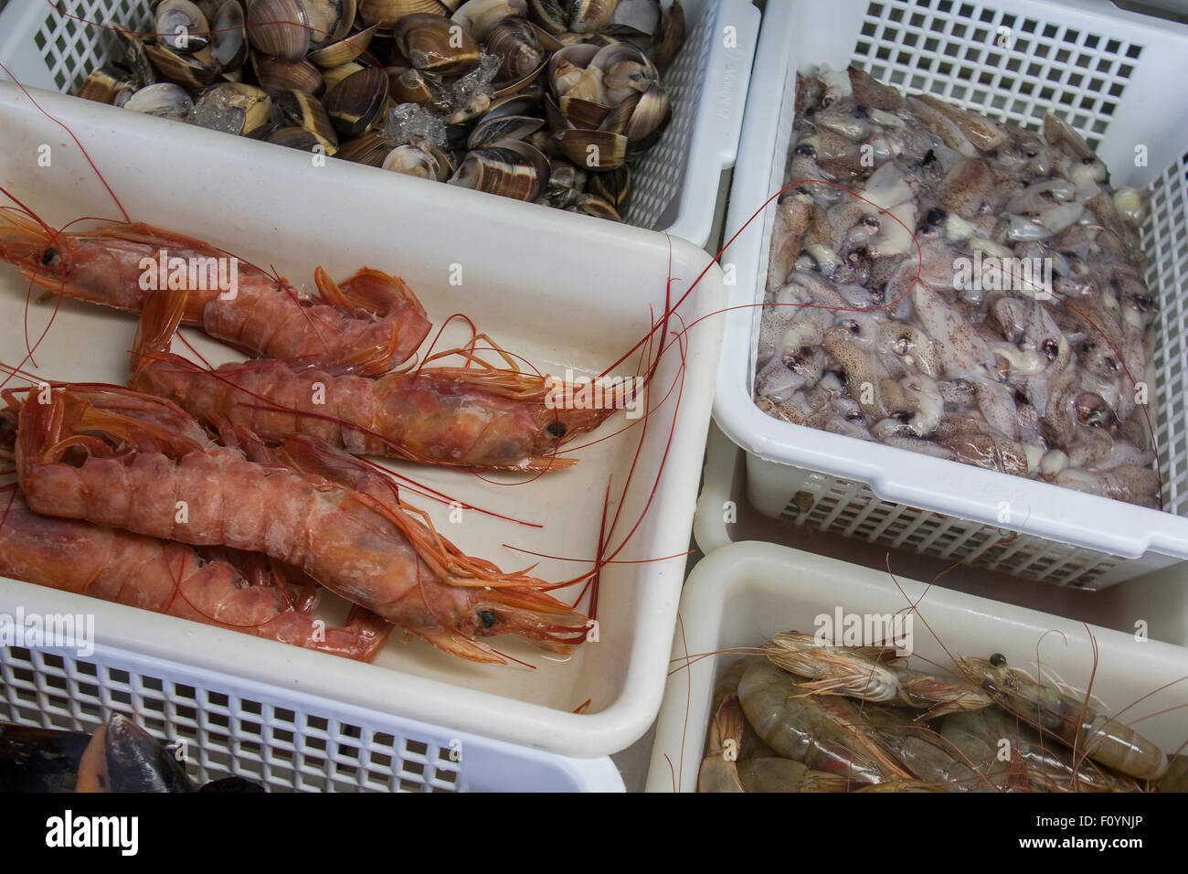 fresh seafood on white plastic boxes Stock Photo - Alamy