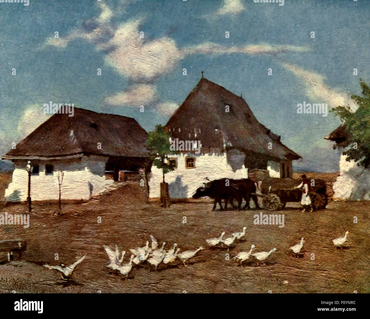 Cottages in the Afold, Austria-Hungary, circa 1910 Stock Photo - Alamy