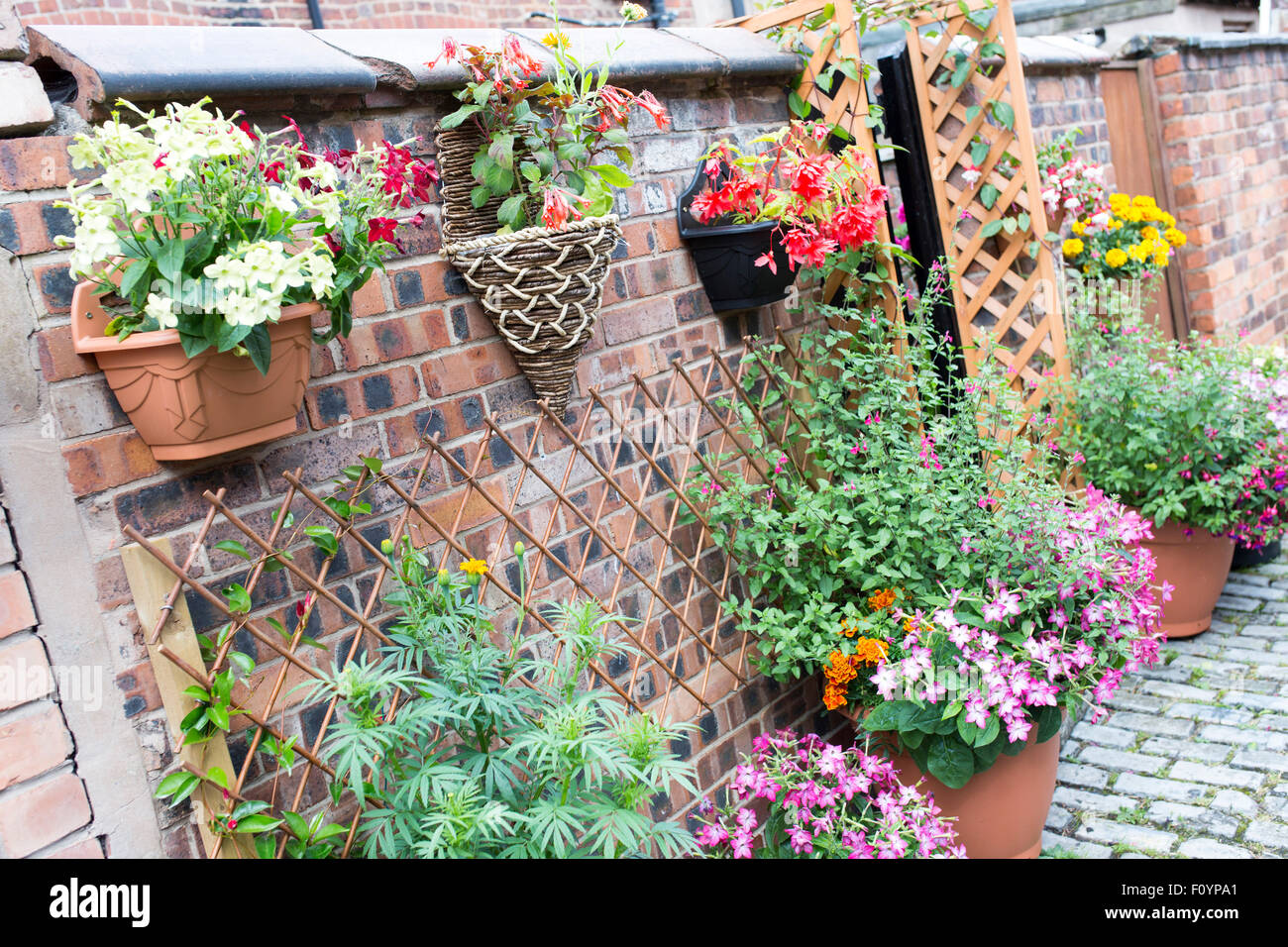 alley garden in Manchester Stock Photo - Alamy