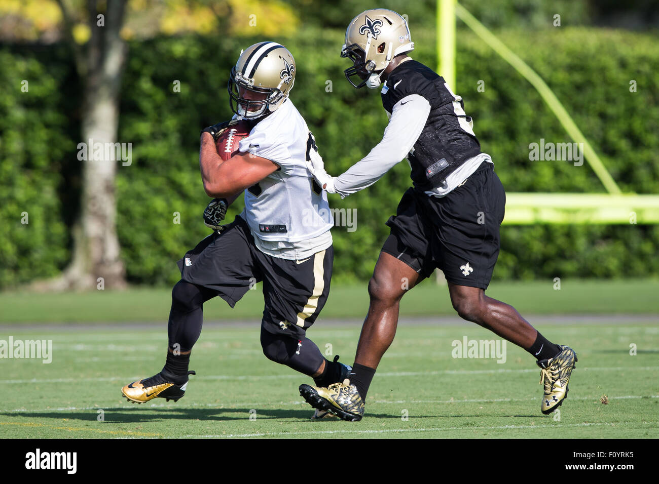 Erik lorig hi-res stock photography and images - Alamy