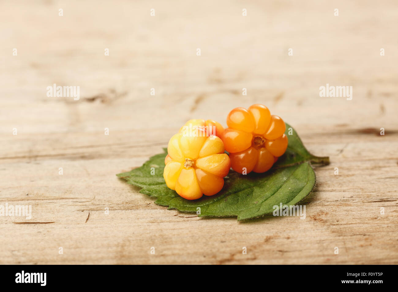 Cloudberries (moroshka) on a wooden table. Wild northern berry. Shallow ...