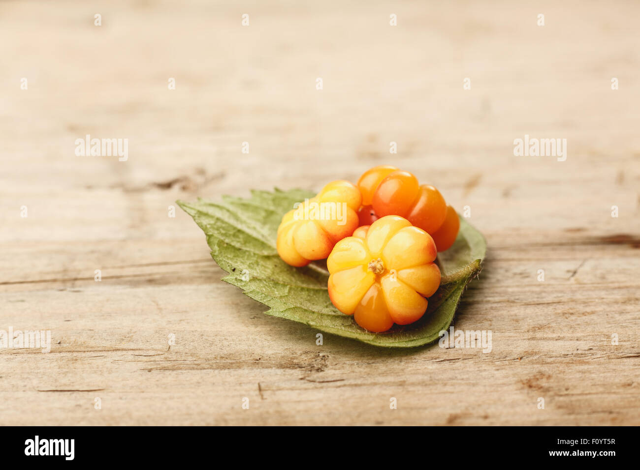 Moroshka hi-res stock photography and images - Alamy