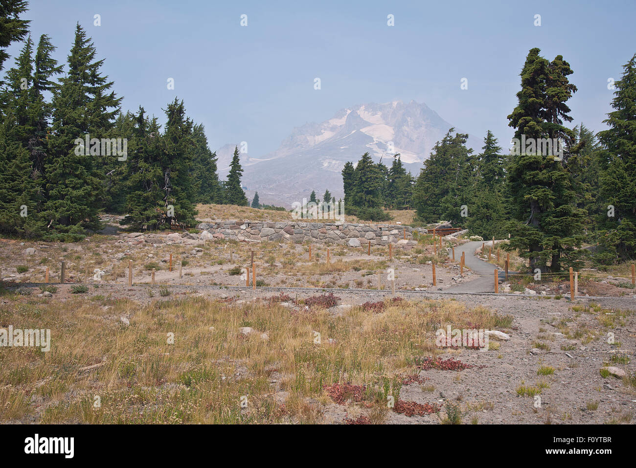 Mt. Hood Oregon and trees under heavy fire smoke Stock Photo - Alamy