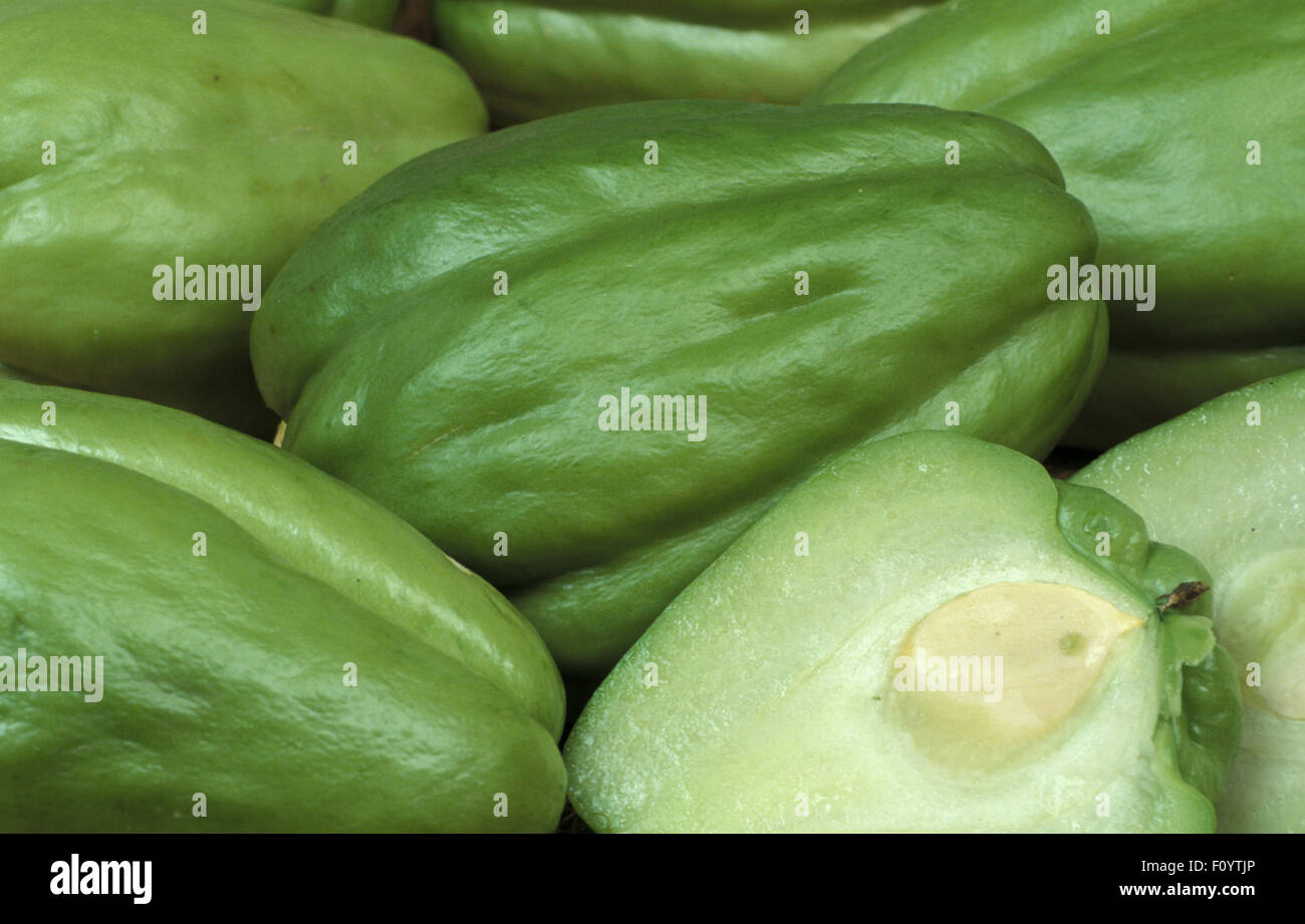 Sechium Edule High Resolution Stock Photography and Images - Alamy
