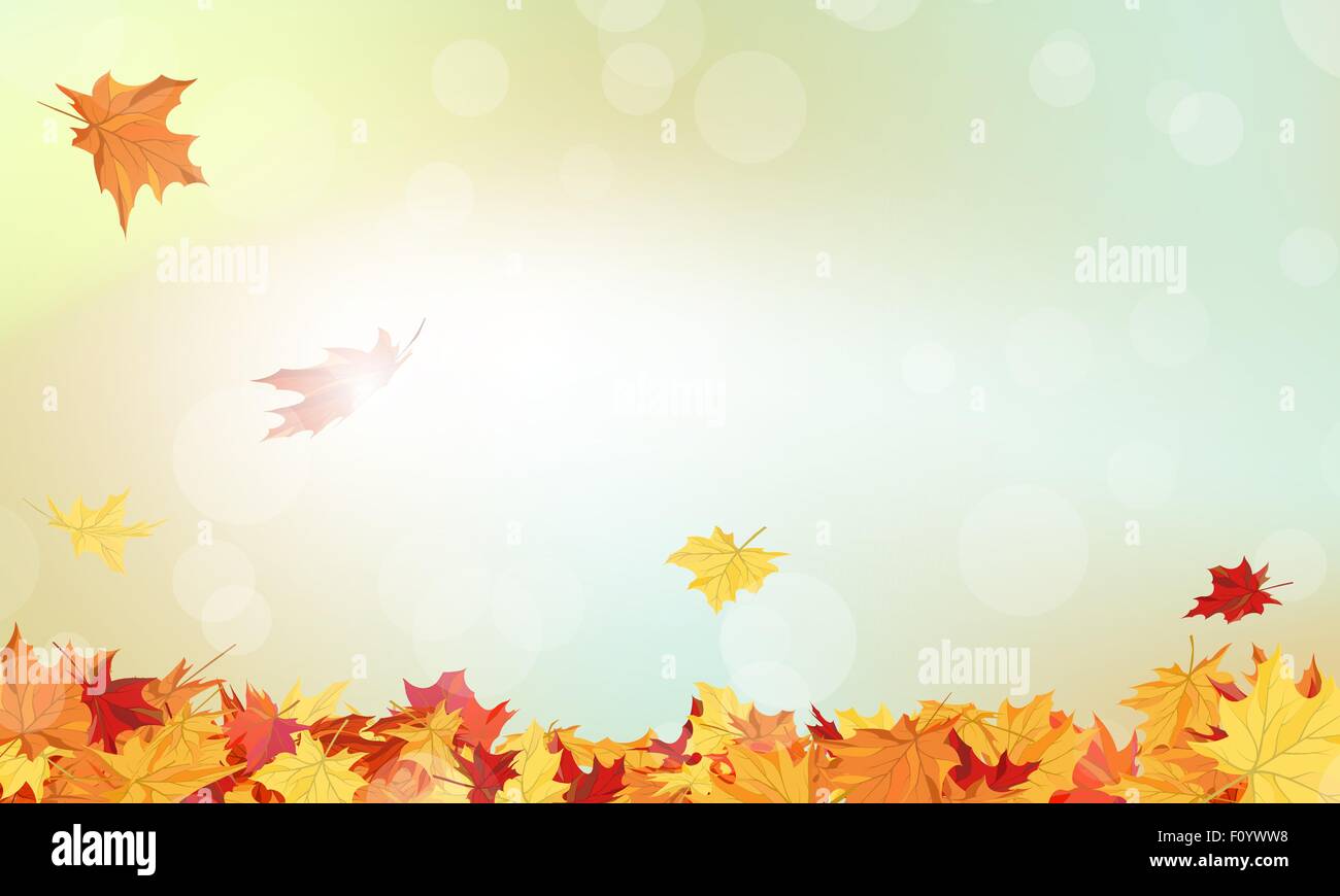 Autumn Frame With Falling Maple Leaves on Sky Background Stock Vector ...