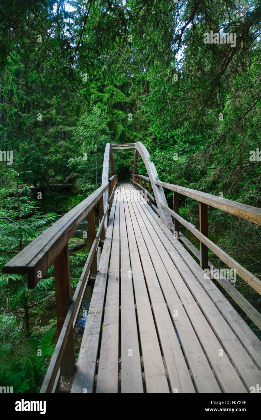 Bridge in dense forest hi-res stock photography and images - Alamy