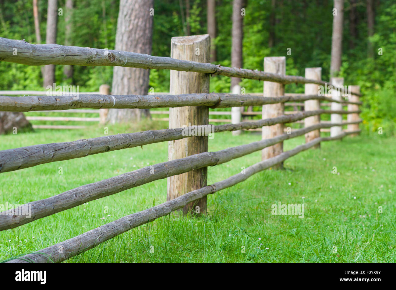 Rural wooden fence with green lawn, part of farm cattle-pen Stock Photo ...