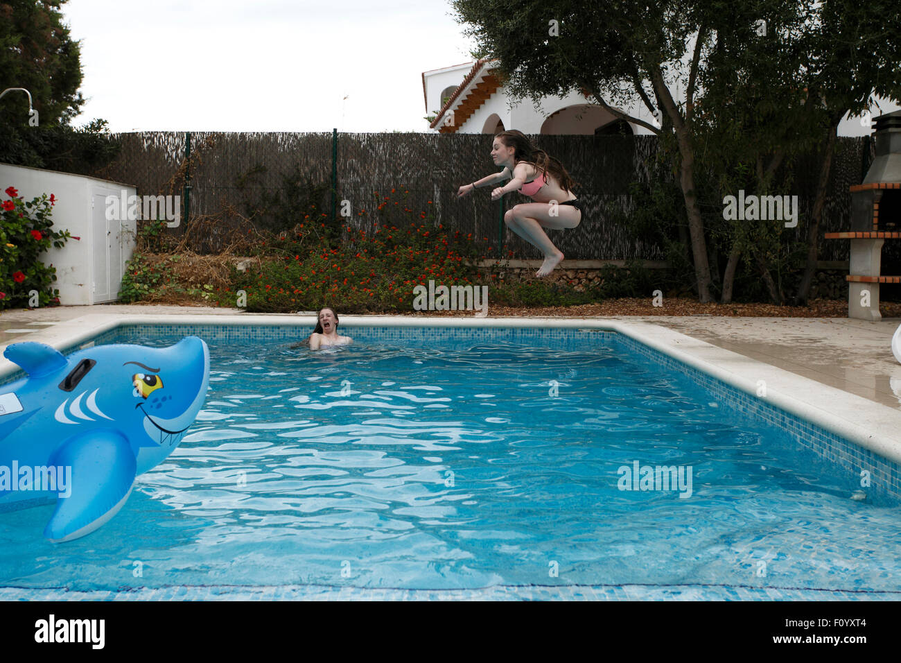 Leap of faith shark hi-res stock photography and images - Alamy