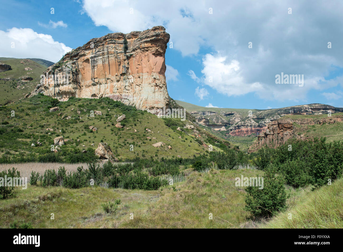 Brandwag hi-res stock photography and images - Alamy