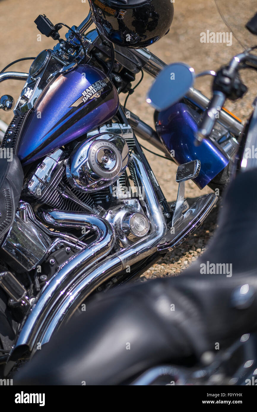 Blue Harley Davidson Bikes