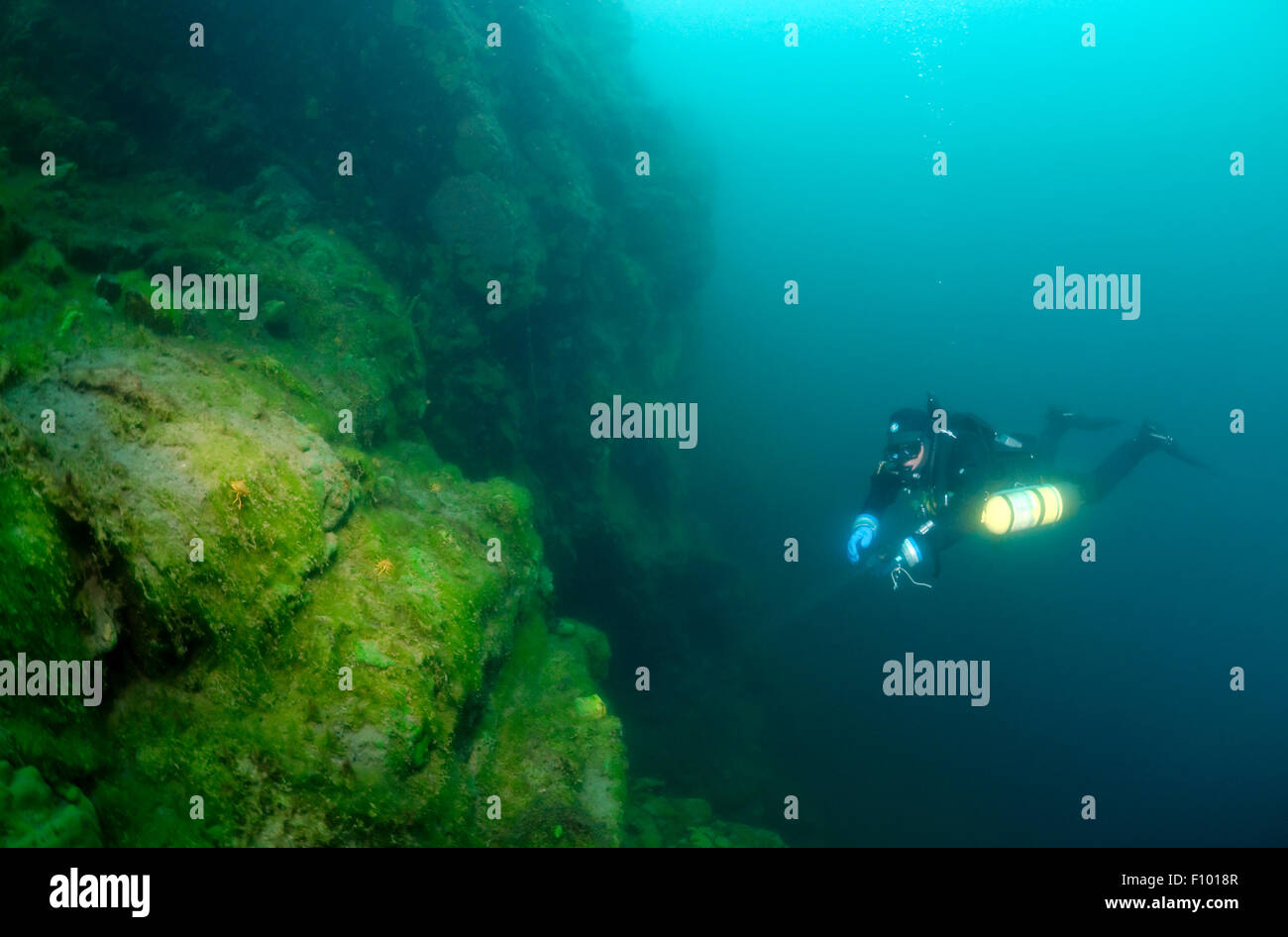 Lake Baikal, Siberia, Russia. 15th Oct, 2014. diving in Lake Baikal ...