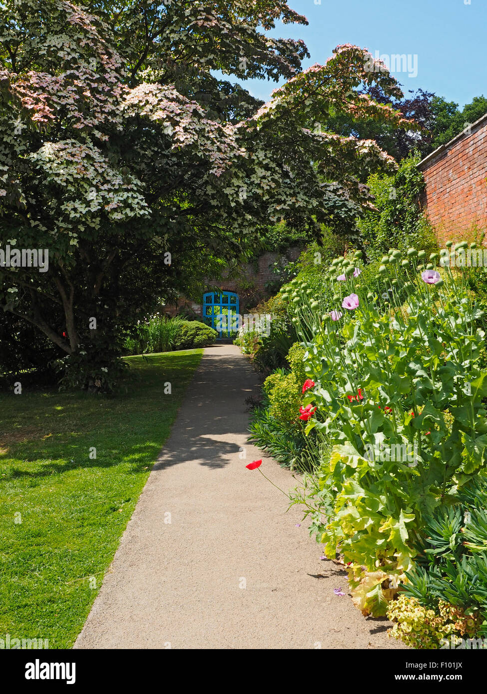 Croft gardens hi-res stock photography and images - Alamy