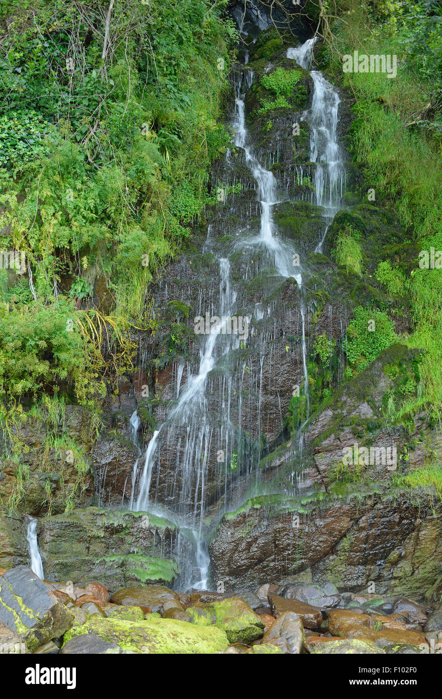 Waterfall above Woody Bay Beach, Exmoor, North Devon Stock Photo - Alamy