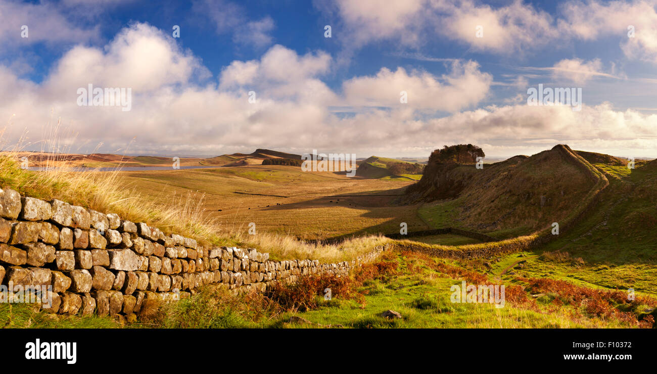 English countryside with Hadrian's Wall in beautiful early morning ...