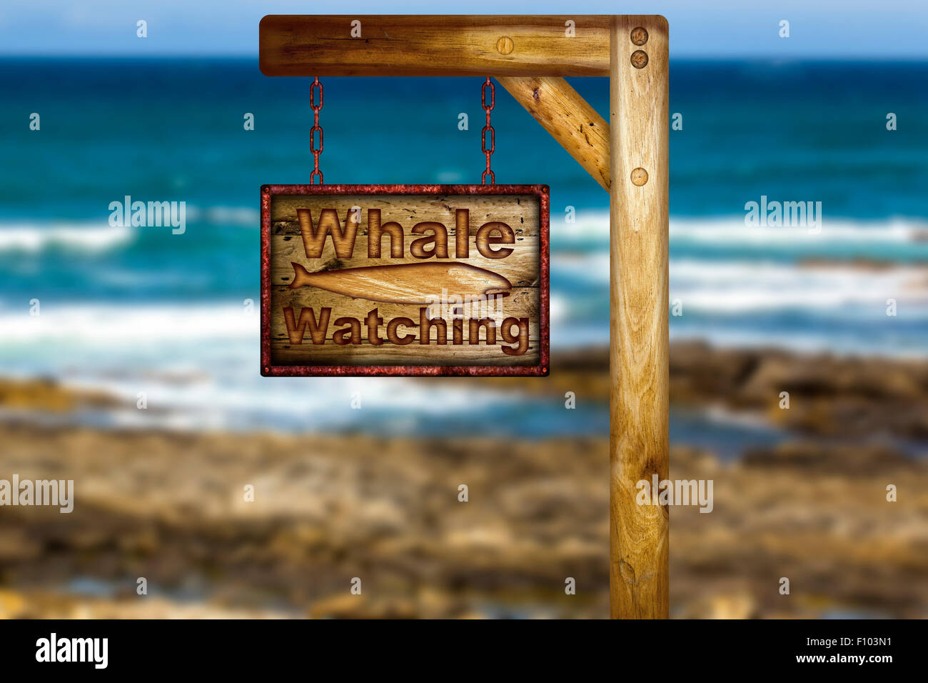 Wooden whale watching sign over a ocean background Stock Photo - Alamy