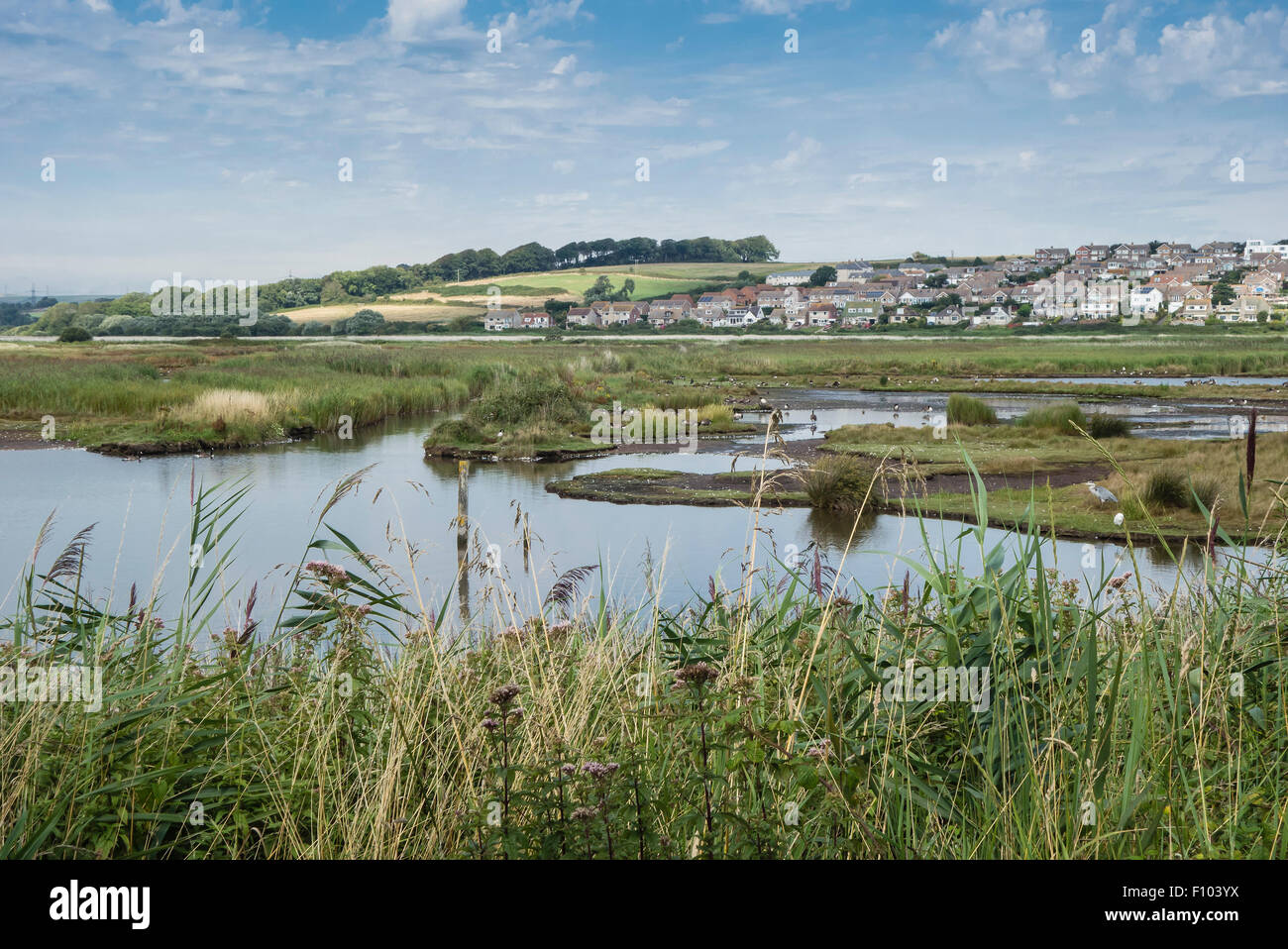 A view over the RSPB Lodmoor Nature Reserve and Lorton Valley Nature ...