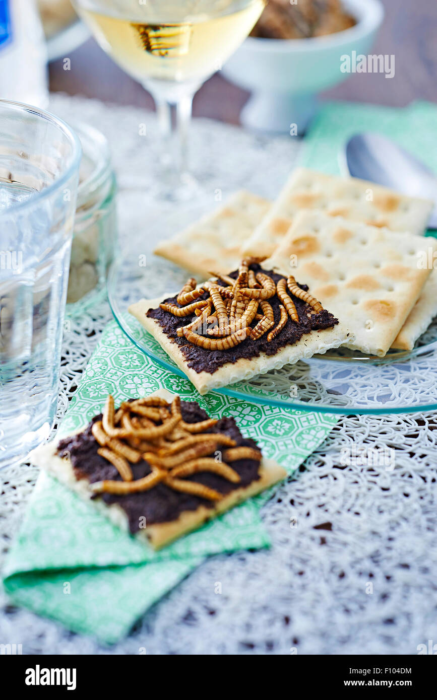 Insect food hi-res stock photography and images - Alamy