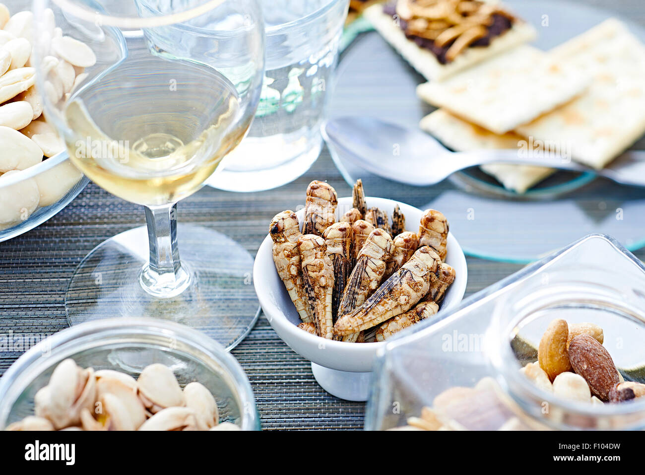 Insect food hi-res stock photography and images - Alamy