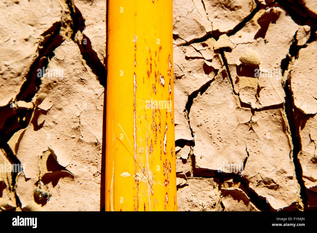 cracked sand in morocco africa desert abstract macro bark Stock Photo ...
