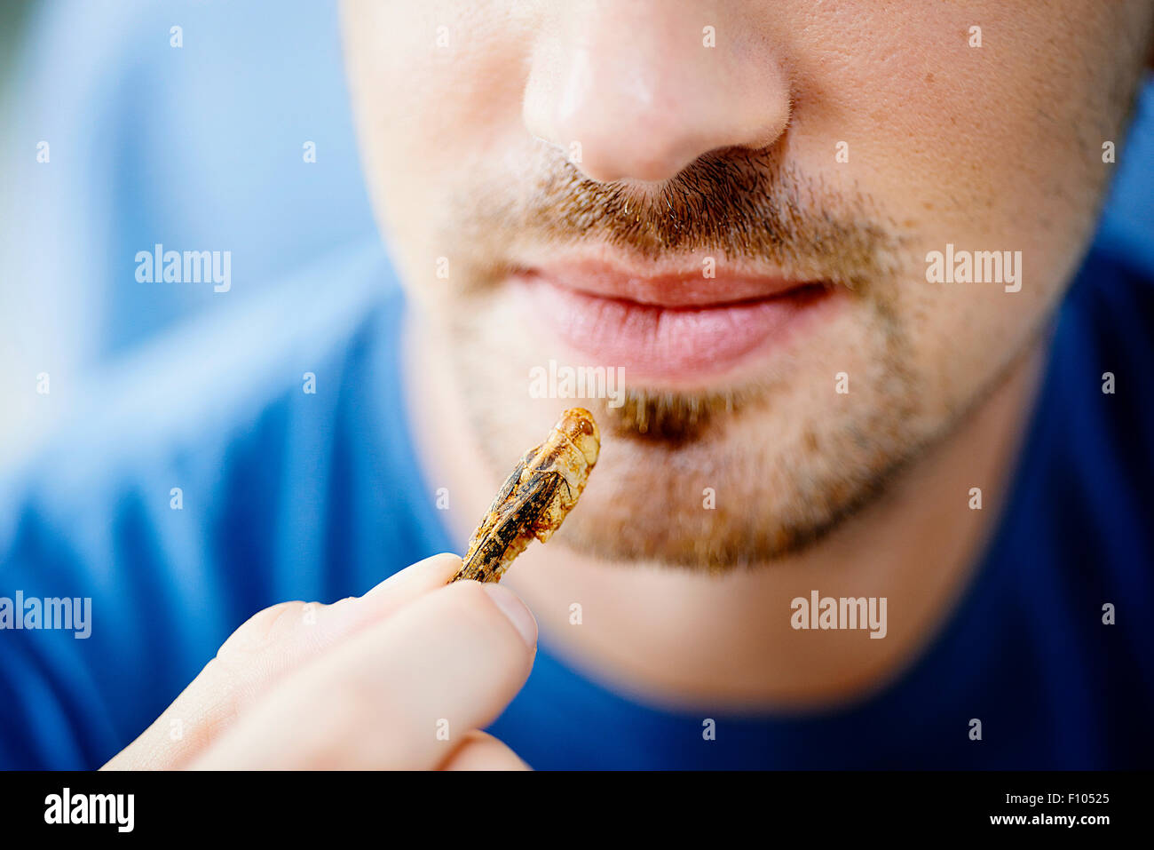 MAN EATING INSECT Stock Photo - Alamy