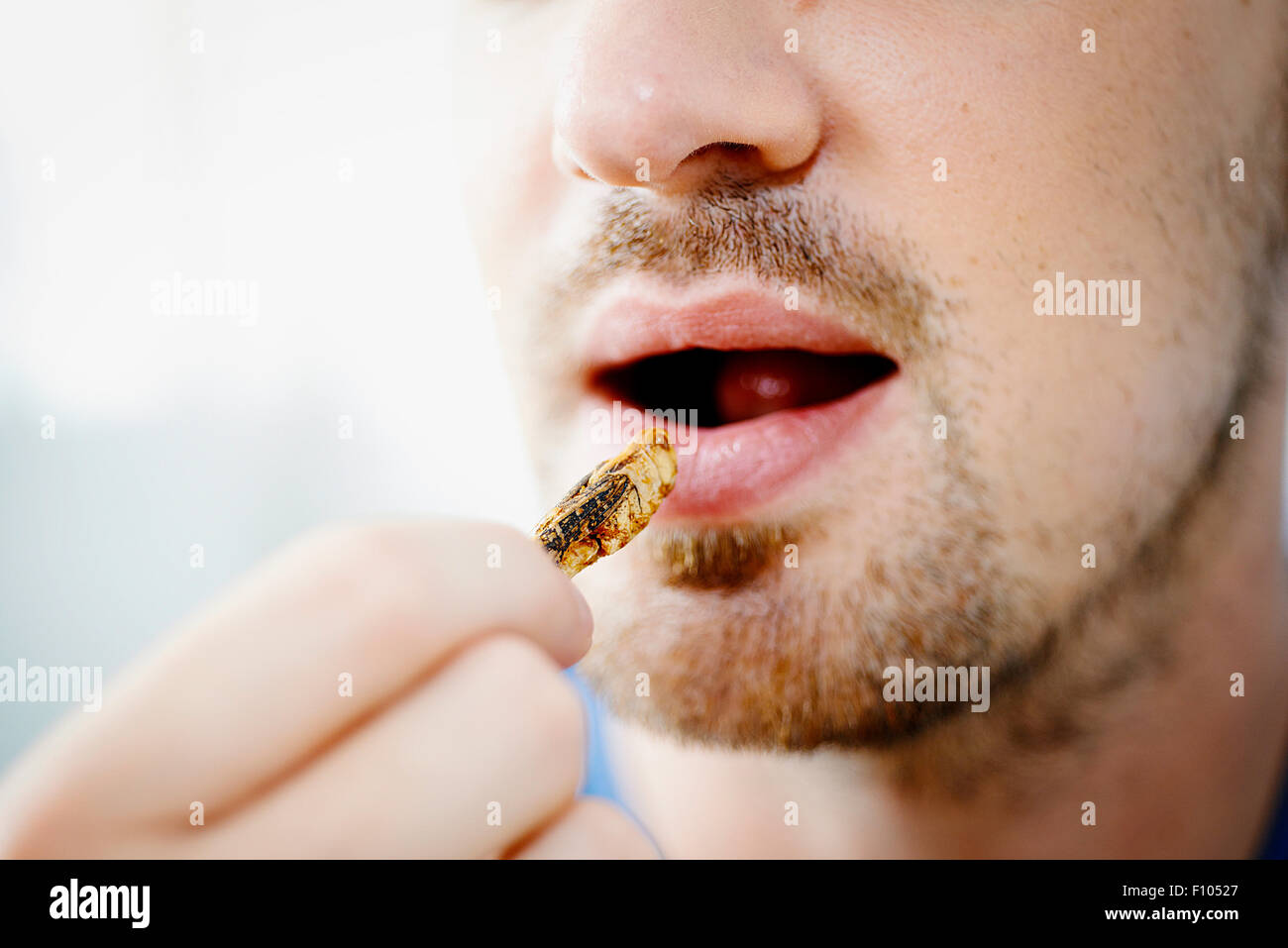 MAN EATING INSECT Stock Photo - Alamy
