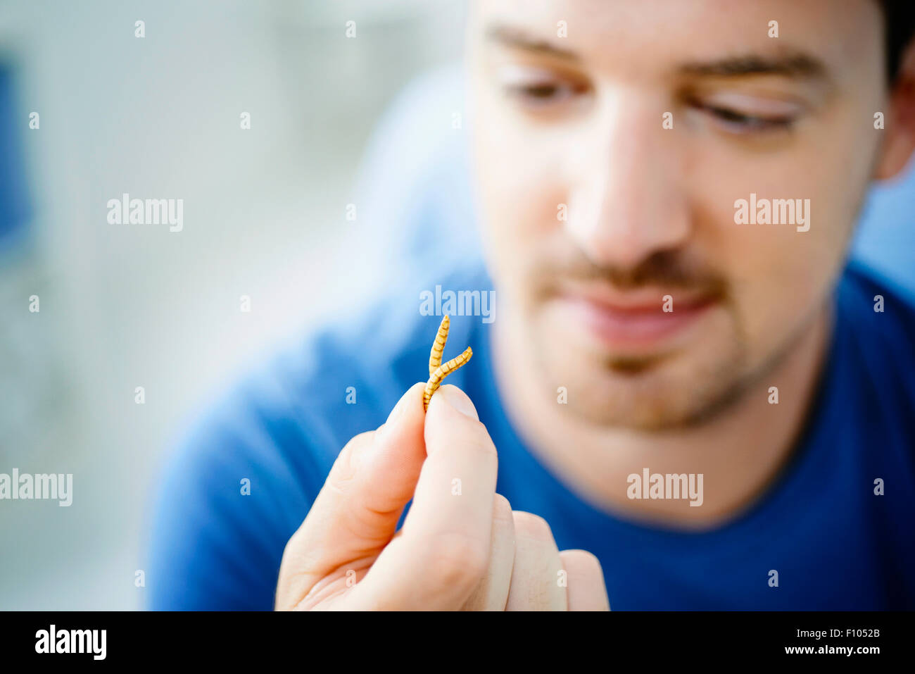 Diet insect larvae hi-res stock photography and images - Alamy