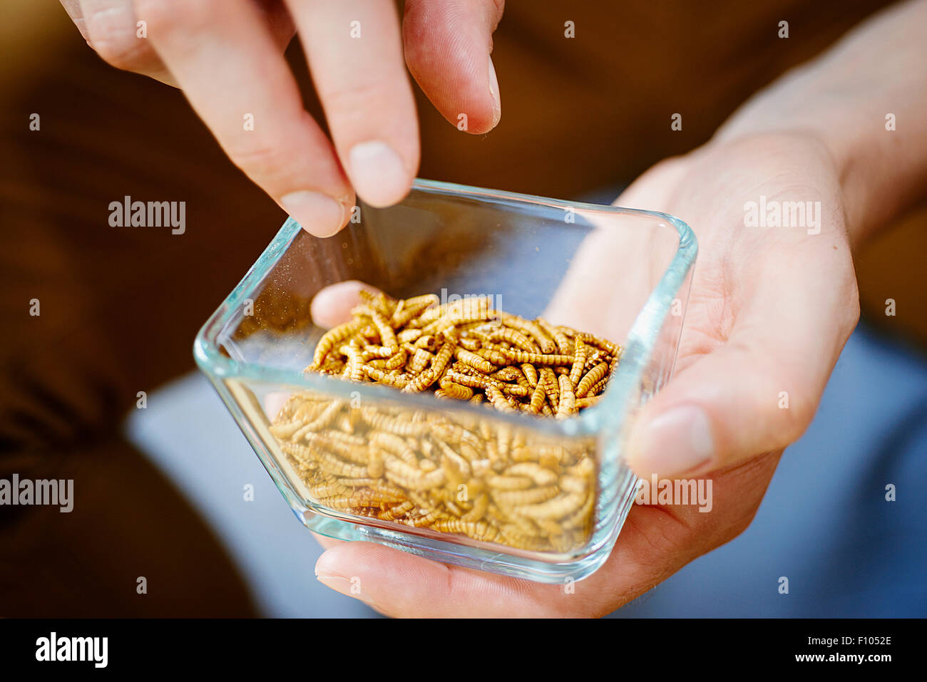 MAN EATING INSECT Stock Photo - Alamy