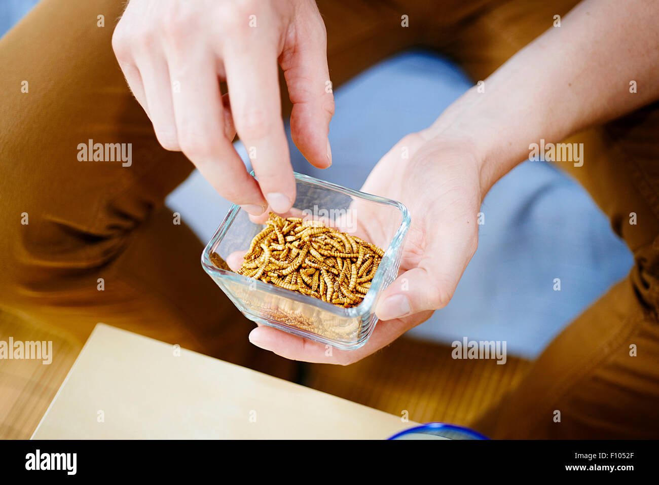 MAN EATING INSECT Stock Photo - Alamy