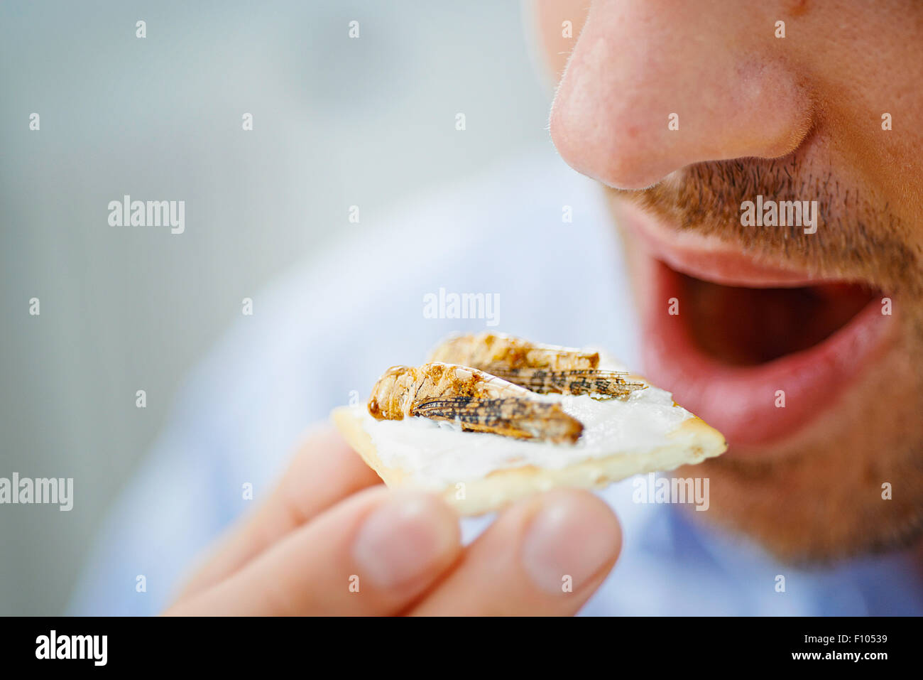 Man Eating Insect High Resolution Stock Photography and Images - Alamy