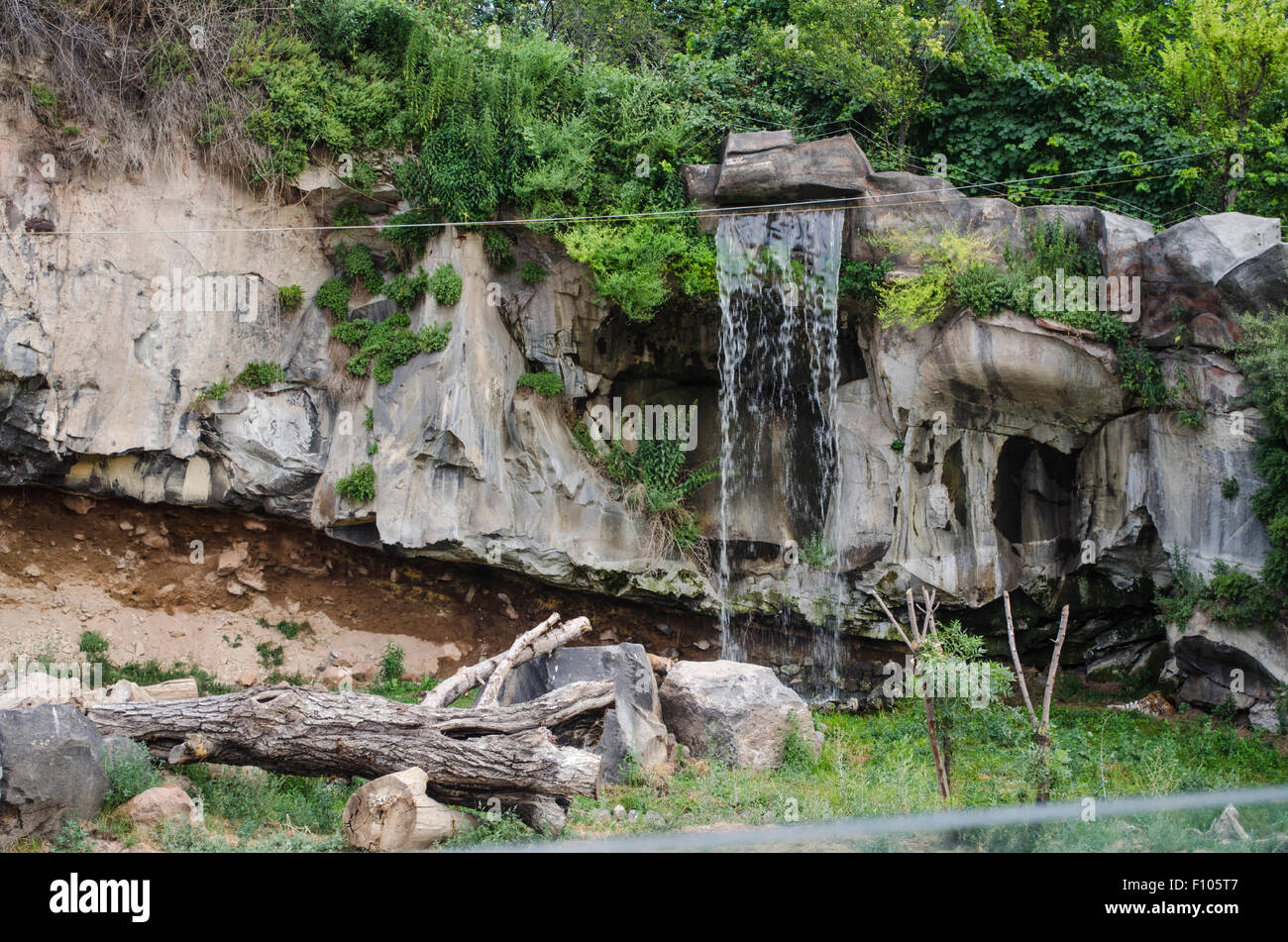 Yerevan zoo hi-res stock photography and images - Alamy