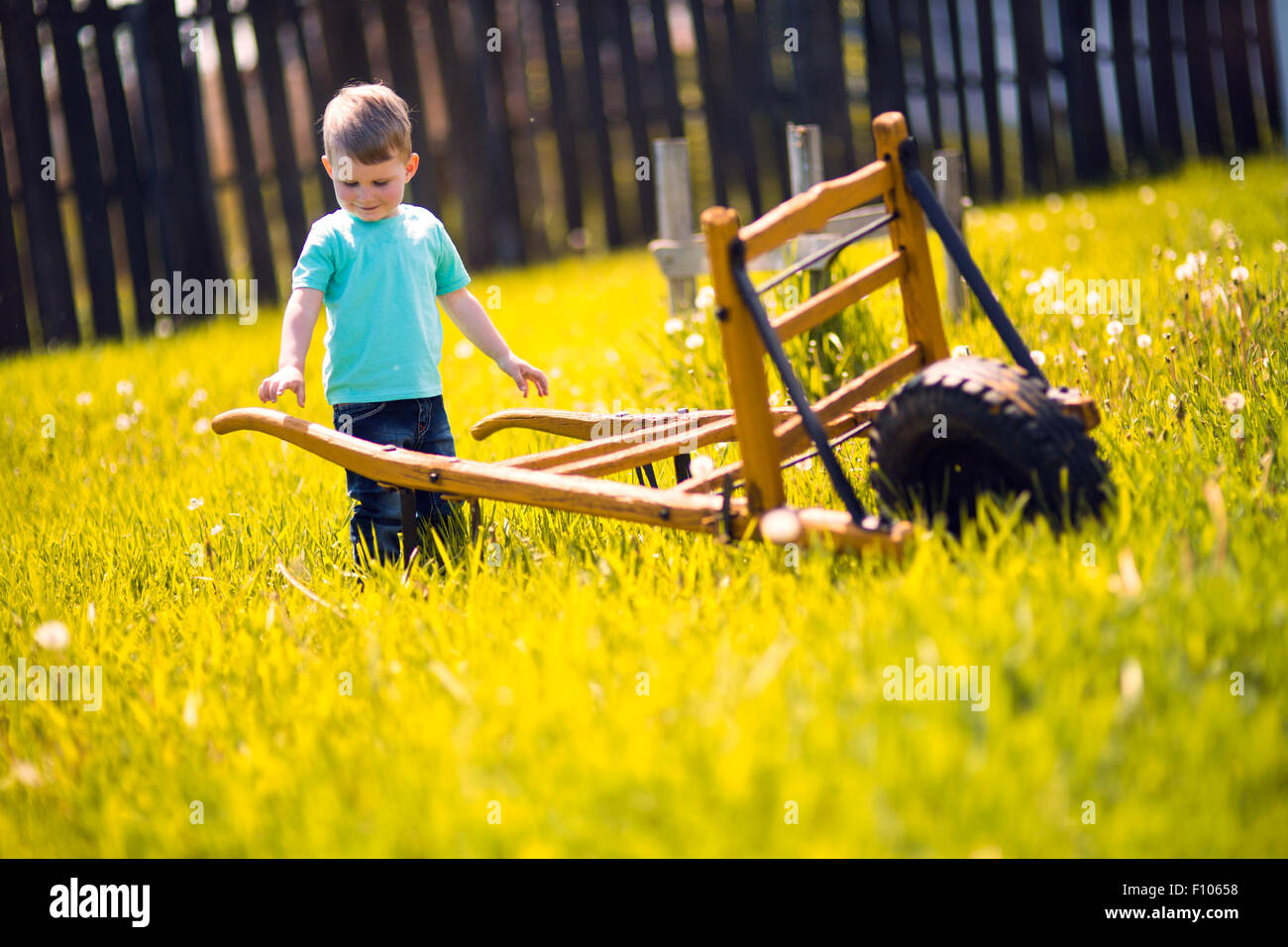 Little boy working in the fields and pushing a wheelbarrow Stock Photo ...