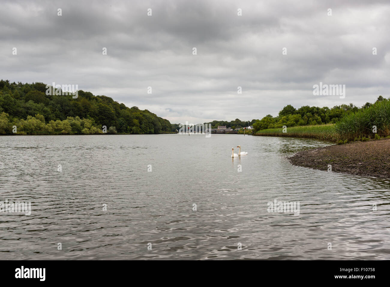 Castleroe hi-res stock photography and images - Alamy