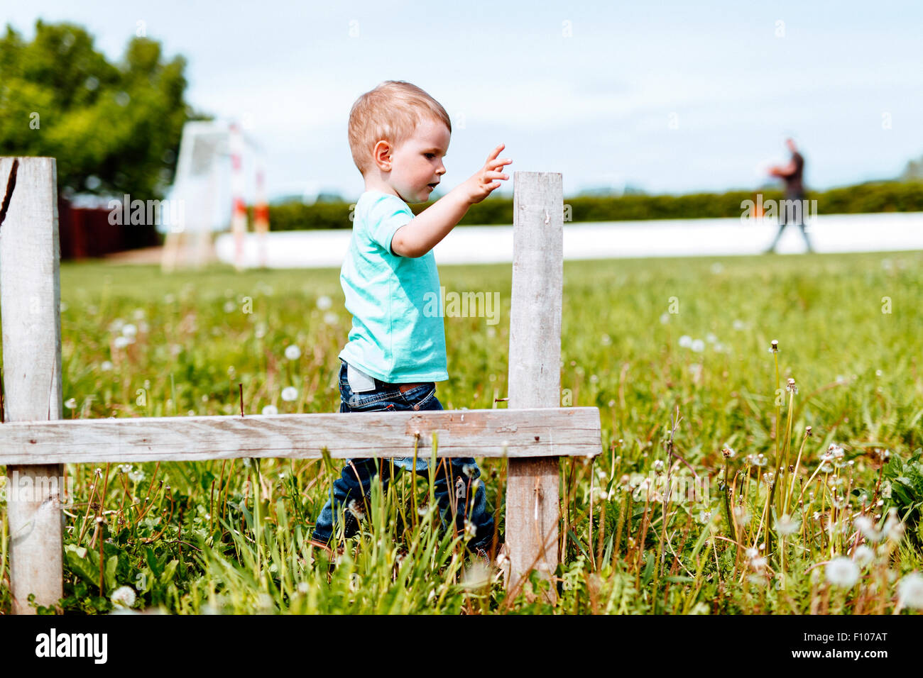Small boy woking in nature during spring Stock Photo - Alamy