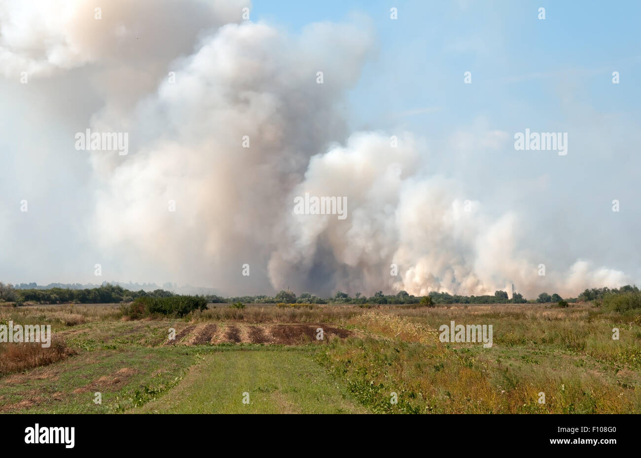 fire on summer field Stock Photo - Alamy