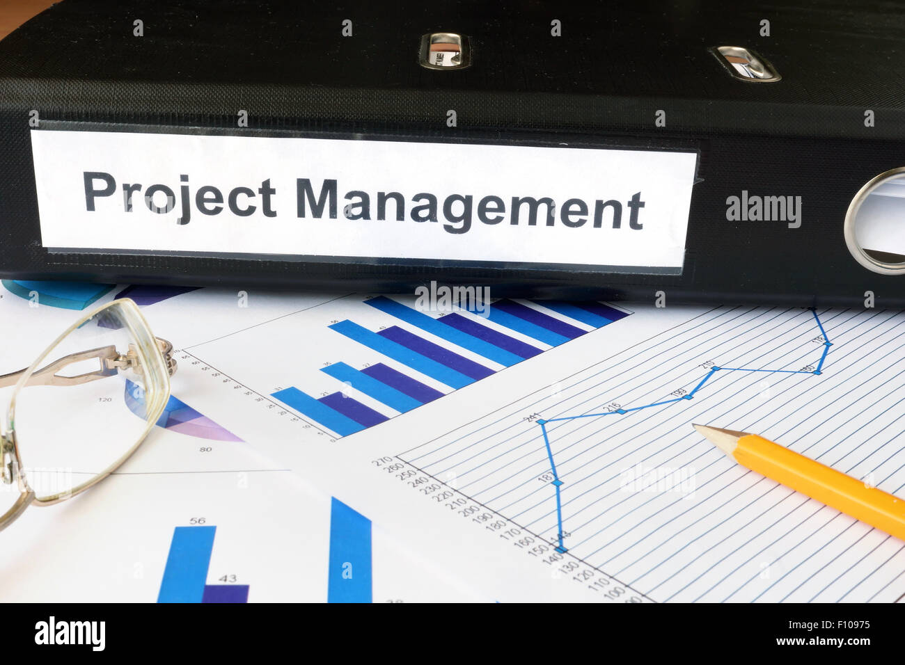 Graphs and file folder with label Project Management. Business concept ...