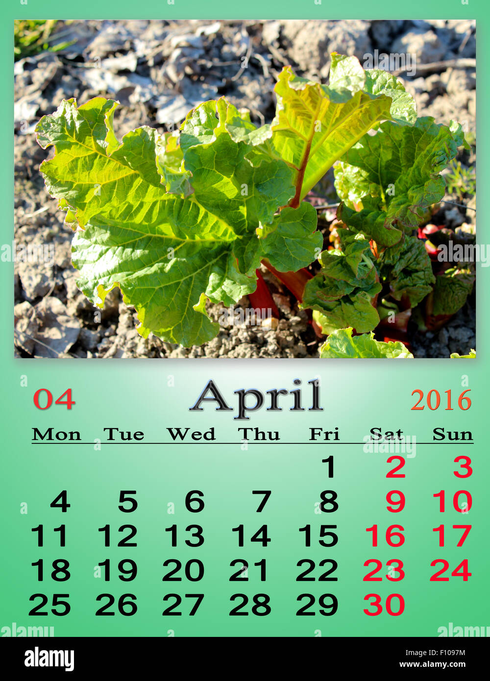 calendar for April 2016 with green bush of rhubarb Stock Photo - Alamy