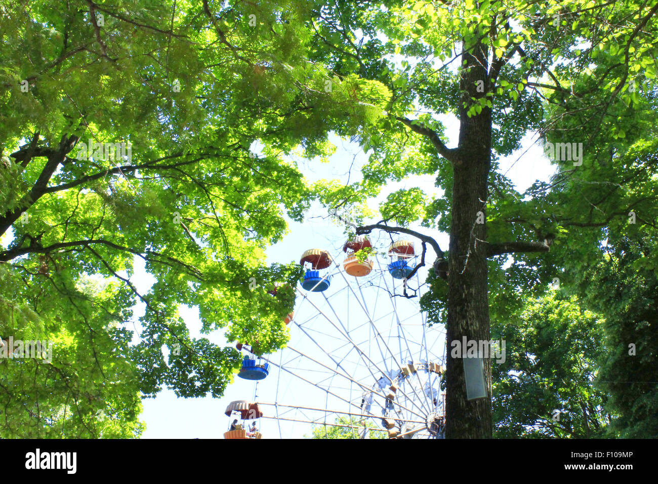 ferris wheel in the park with big green trees Stock Photo - Alamy
