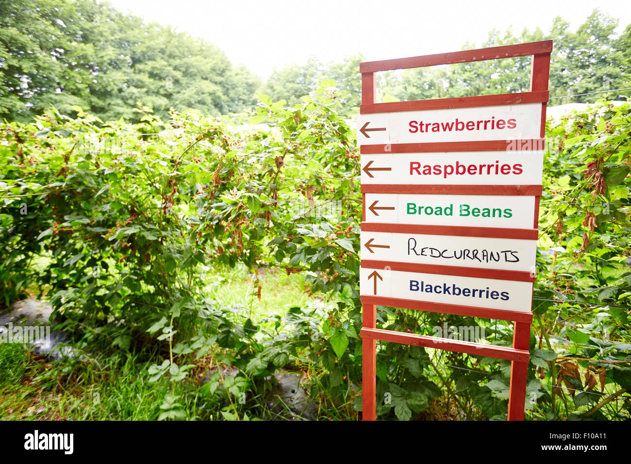 Vegetables sign High Resolution Stock Photography and Images - Alamy