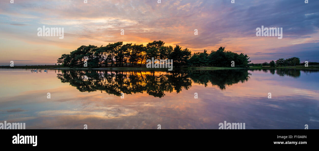 New forest pond hi-res stock photography and images - Alamy