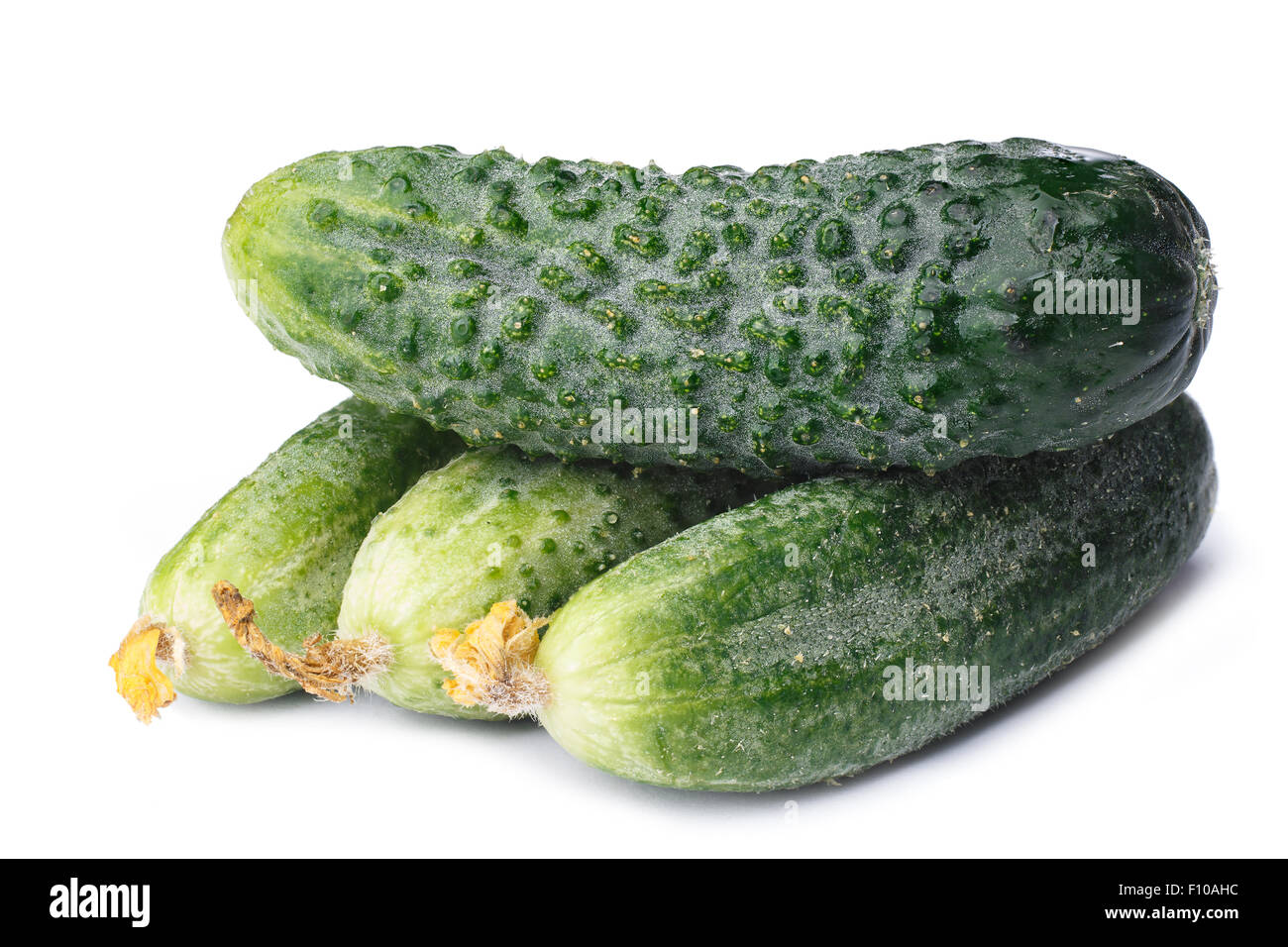 Cucumber cucumbers hi-res stock photography and images - Alamy