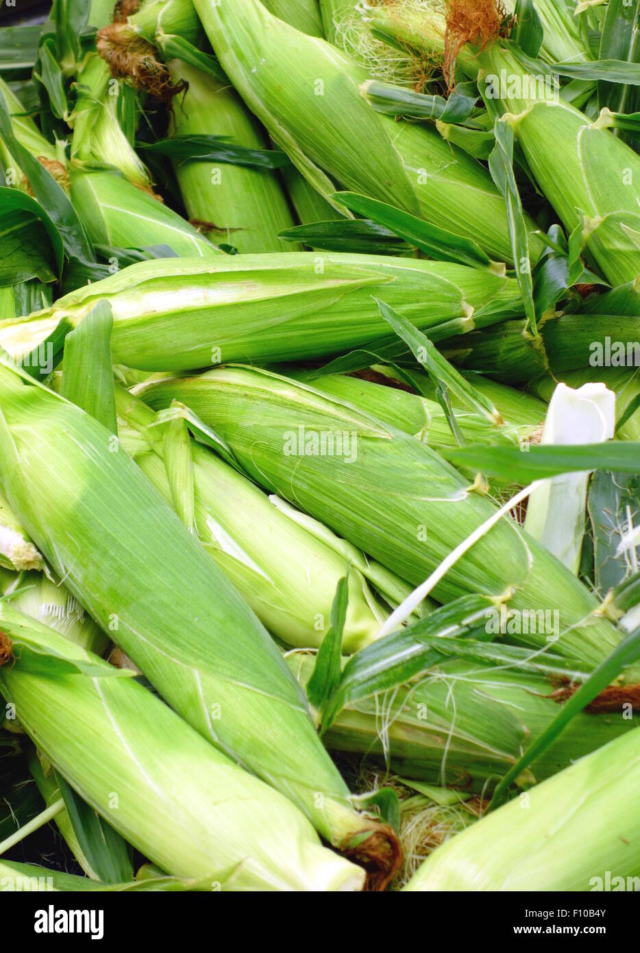 Farmers of ontario hi-res stock photography and images - Alamy