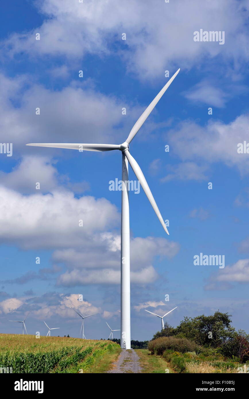 Wind turbine farm creates renewable electrical energy near Turin, NY ...