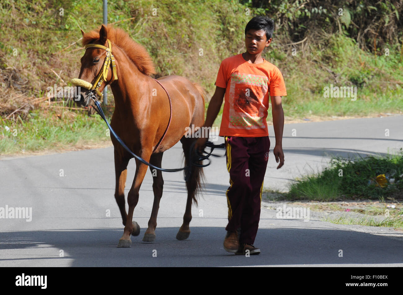 Takengon, Indonesia. 23rd Aug, 2015. Gayo Tribe has their own ...