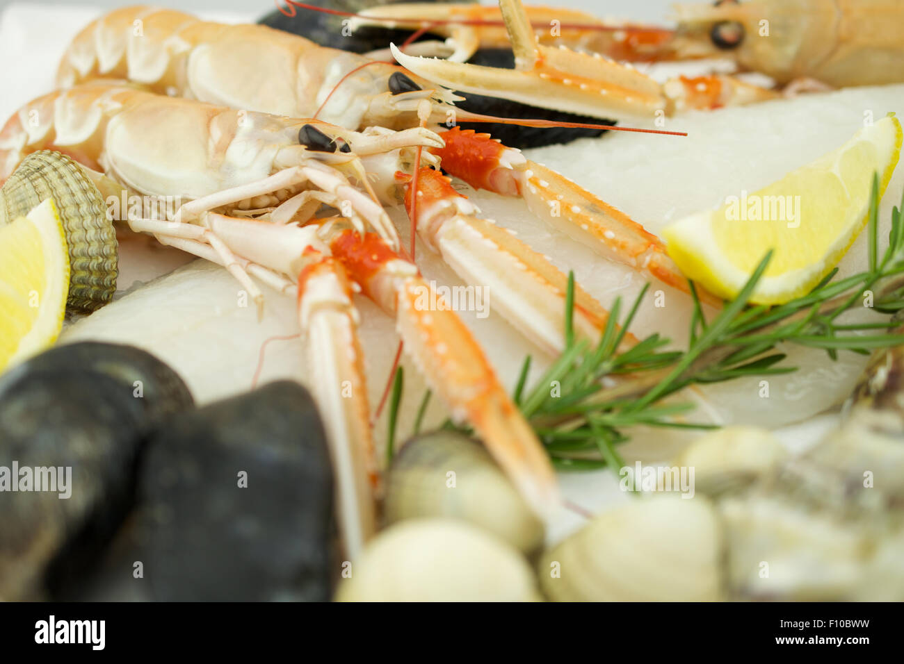 Raw seafood cocktail fresh mix Stock Photo - Alamy