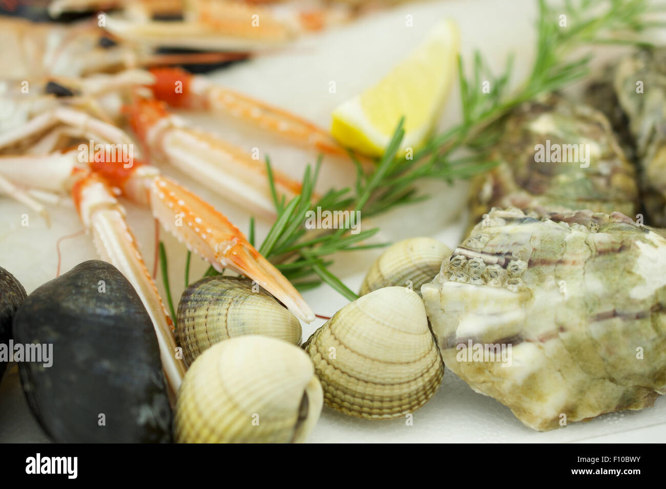 Raw seafood cocktail fresh mix Stock Photo - Alamy