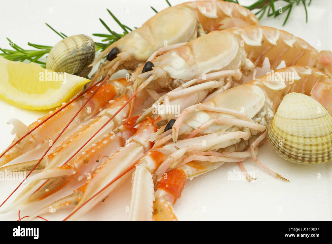 Raw shellfish with lemon Stock Photo - Alamy